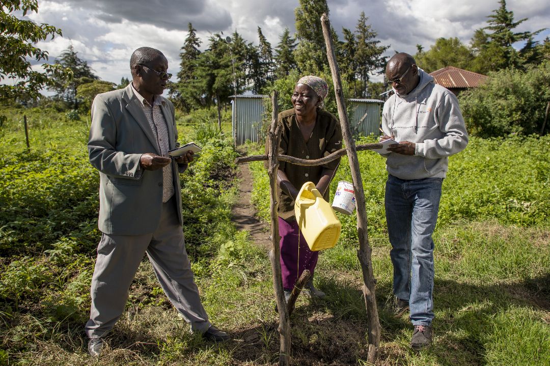 Amplifying NGO Advocacy Messages at Global, Regional and in Country ...