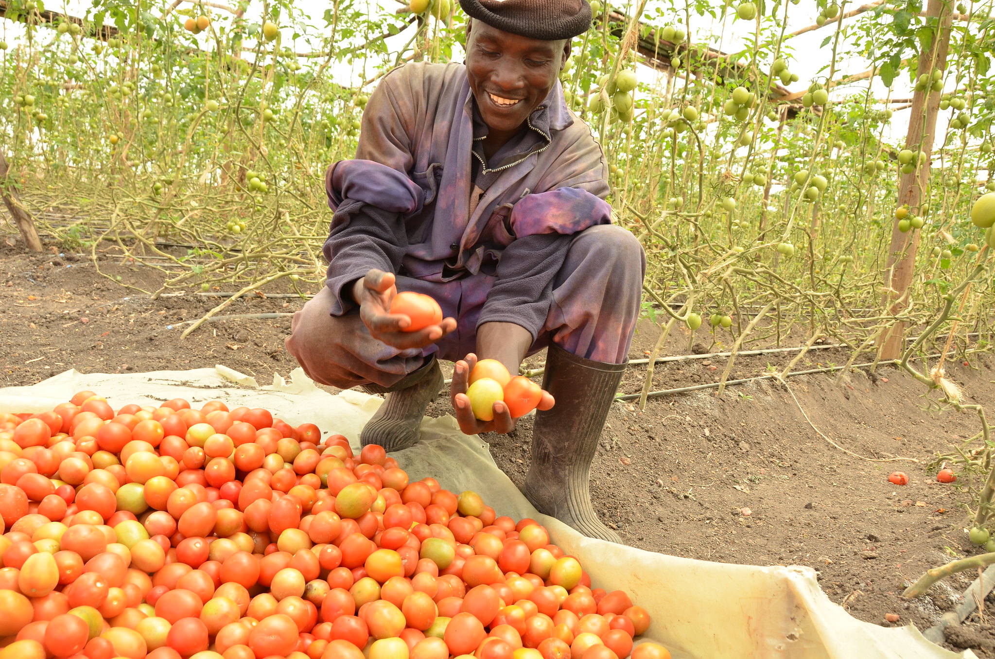 HIN Facilitates Access to Finance for Smallholder Farmers in Lagos ...