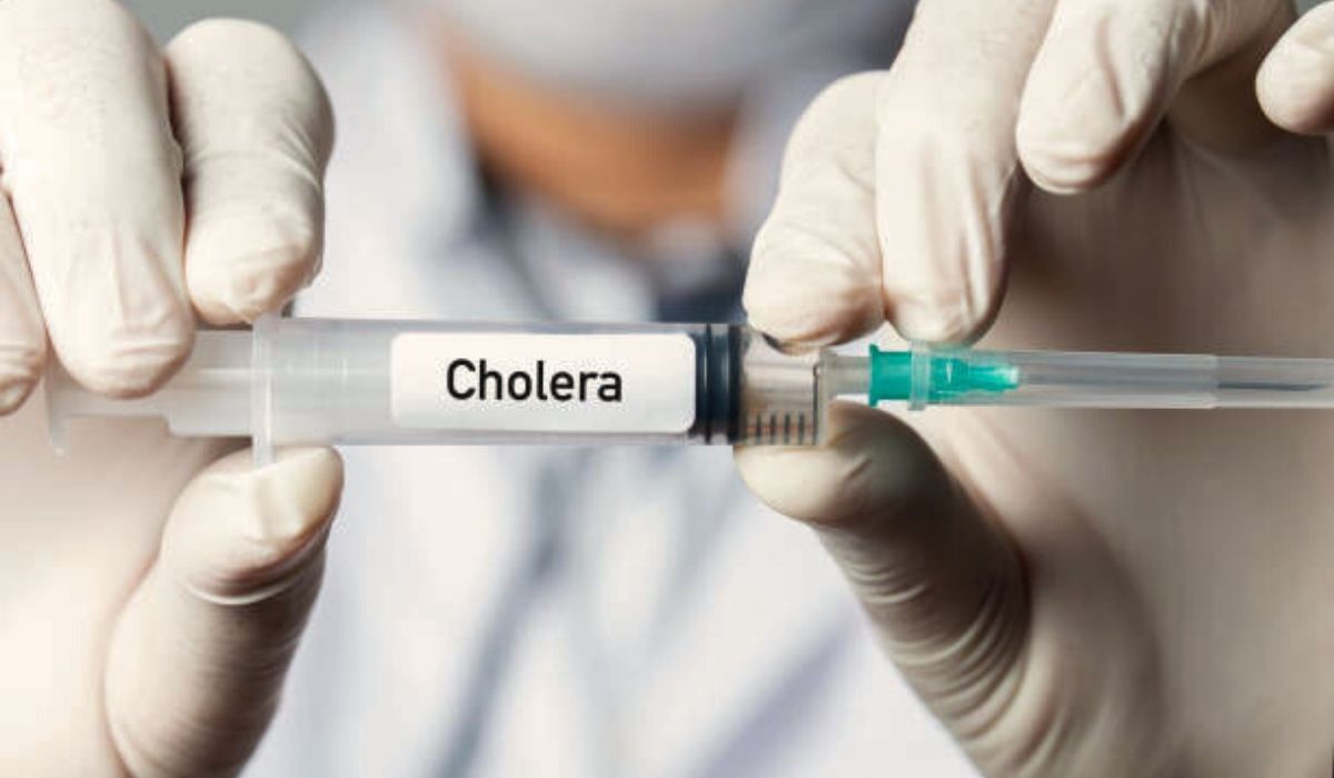 UNICEF Partners with University of Maiduguri to Combat Cholera Outbreak ...